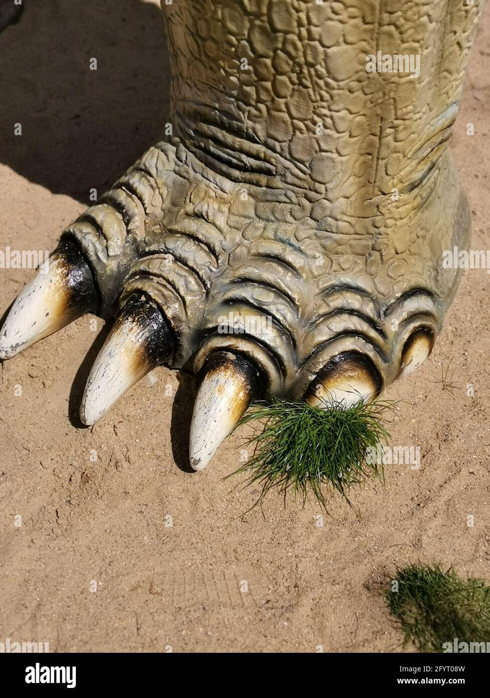 A dinosaur paw on the sand Stock Photo - Alamy