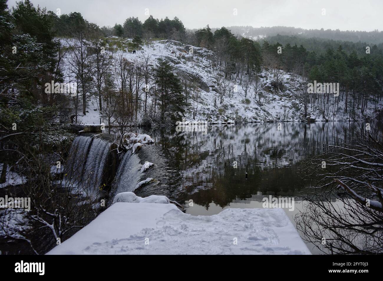 A waterfall in the woods in winter Stock Photo - Alamy