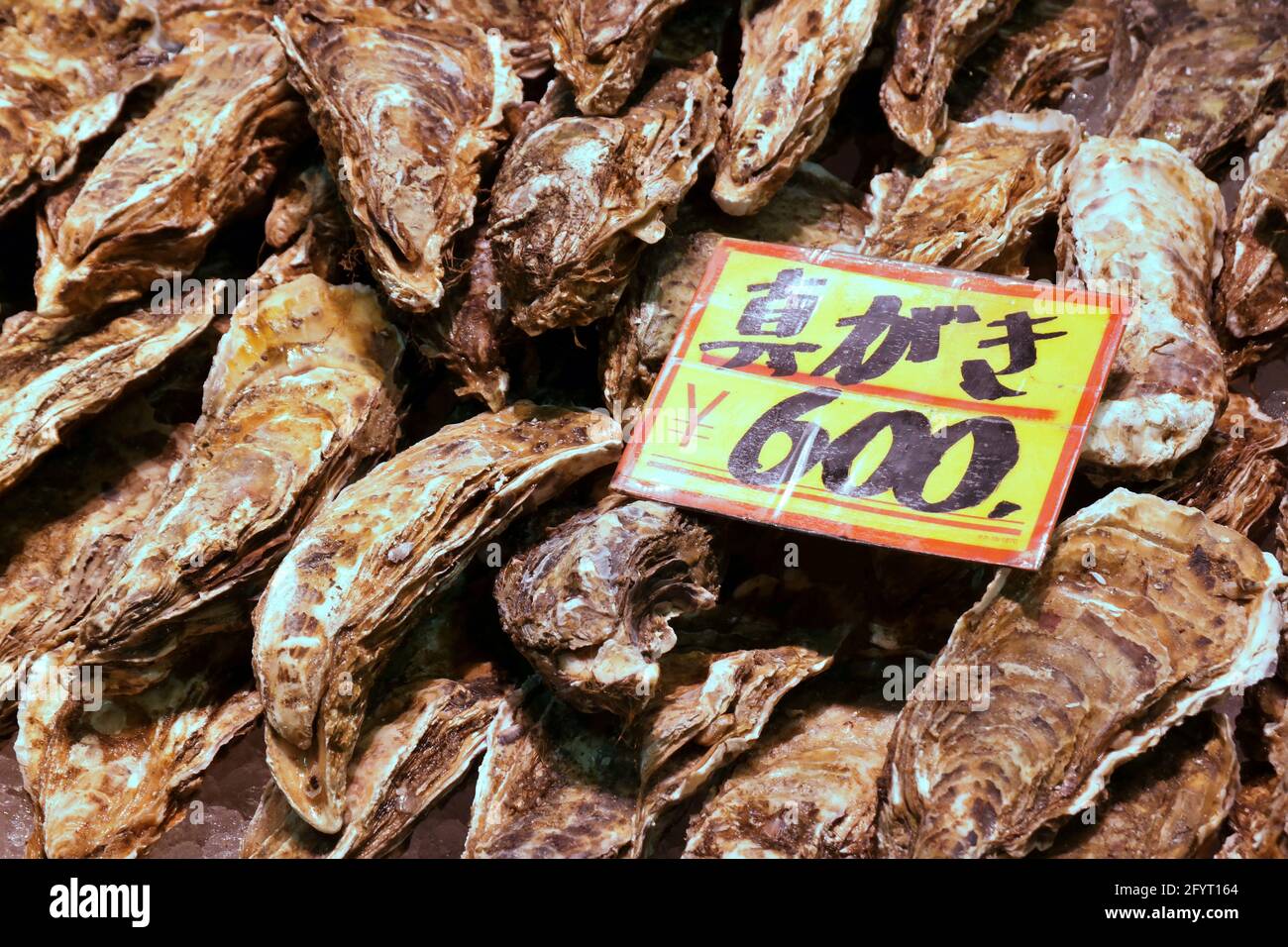 Fresh Japanese oysters Stock Photo - Alamy