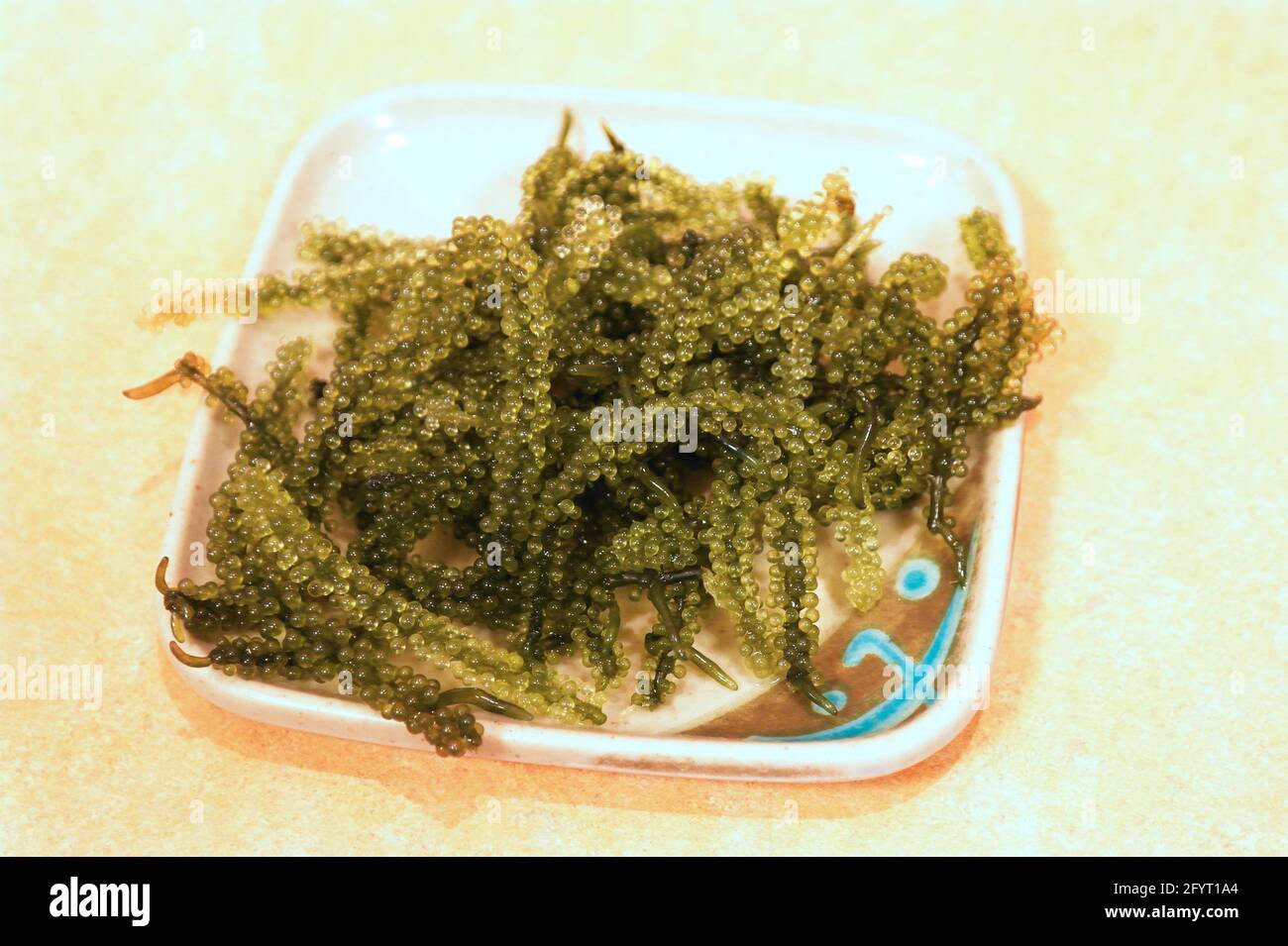 Umibudo, sea grapes, delicious seaweed cultivated in Okinawa Stock ...