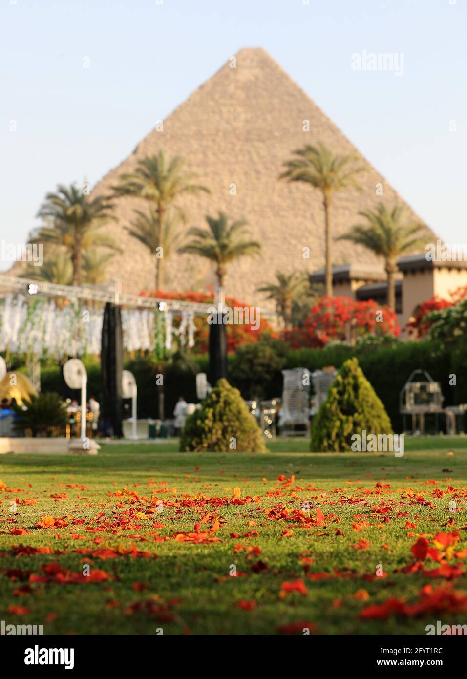 Cairo. 29th May, 2021. Photo taken on May 29, 2021 shows flowering ...