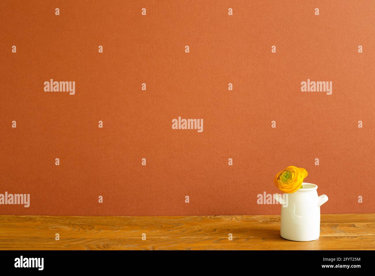 Vase of yellow ranunculus flower on wooden table. brown background ...