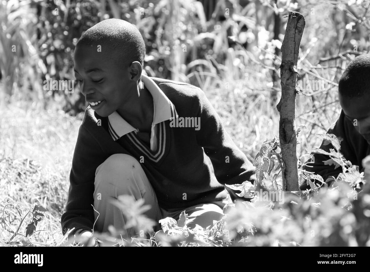 JOHANNESBURG, SOUTH AFRICA - Jan 05, 2021: Johannesburg, South Africa ...