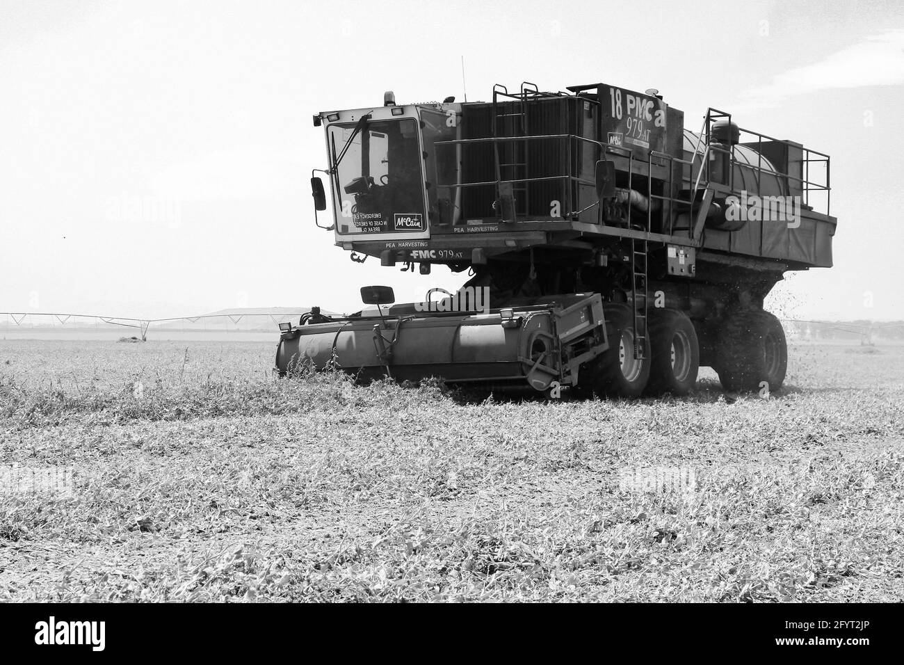 Pea harvest machine hi-res stock photography and images - Alamy