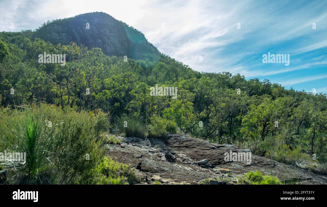 Elephant rock from Slab Rock, Mt Greville, Queensland, Australia Stock ...
