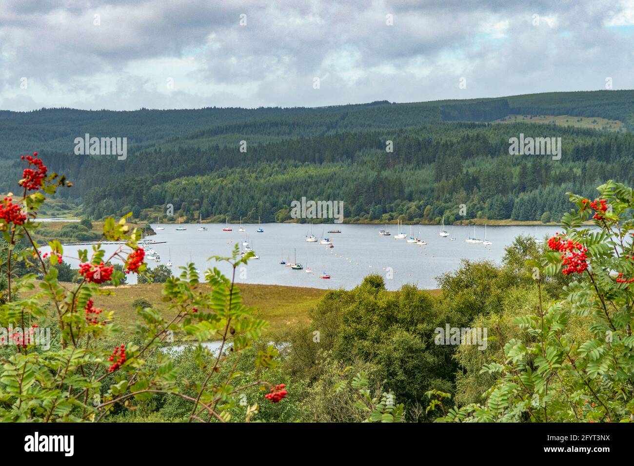 Kielder Water, Northumberland, England Stock Photo - Alamy