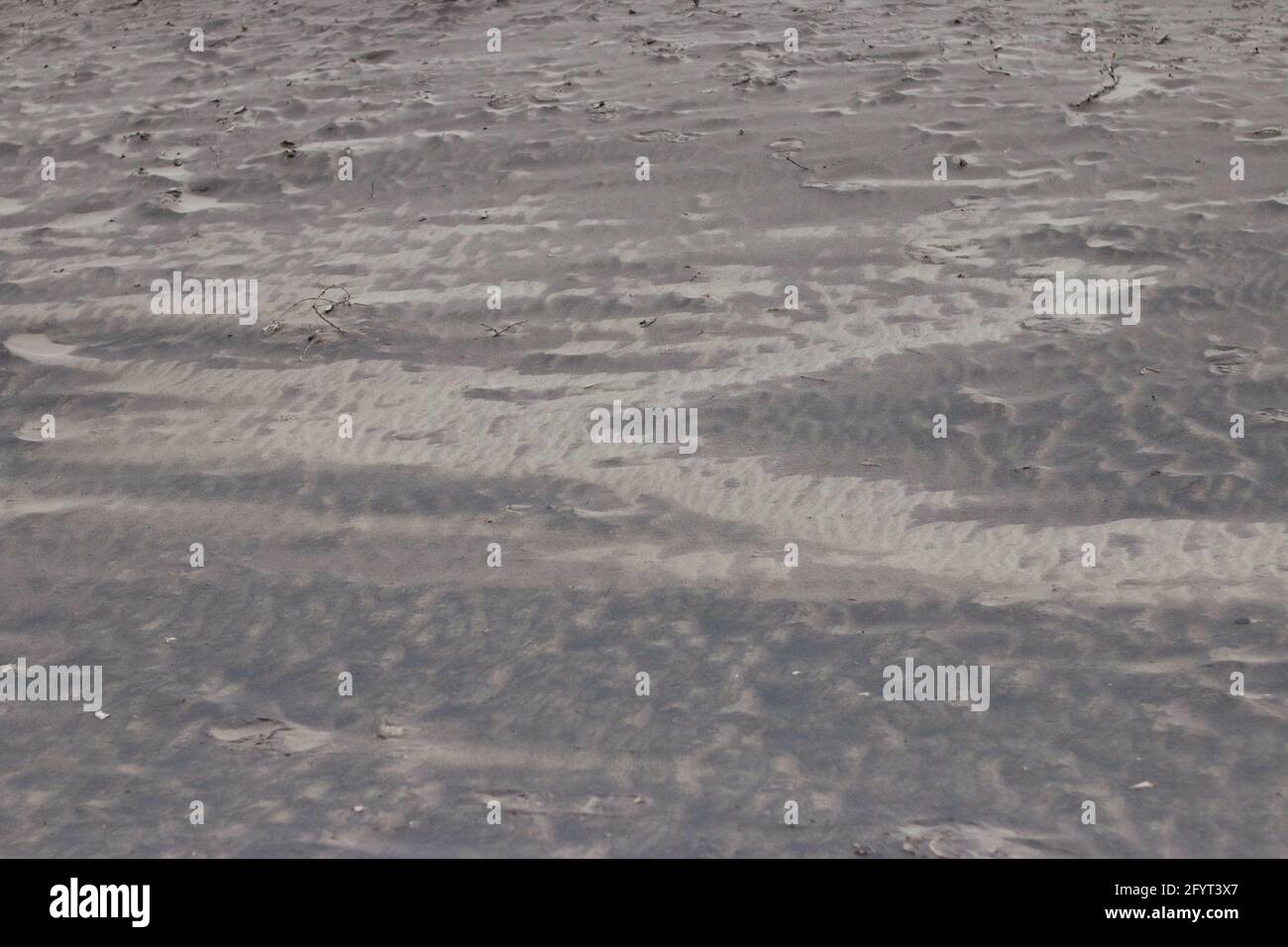 the soft gray sand of a beach - for textures and backgrounds Stock ...
