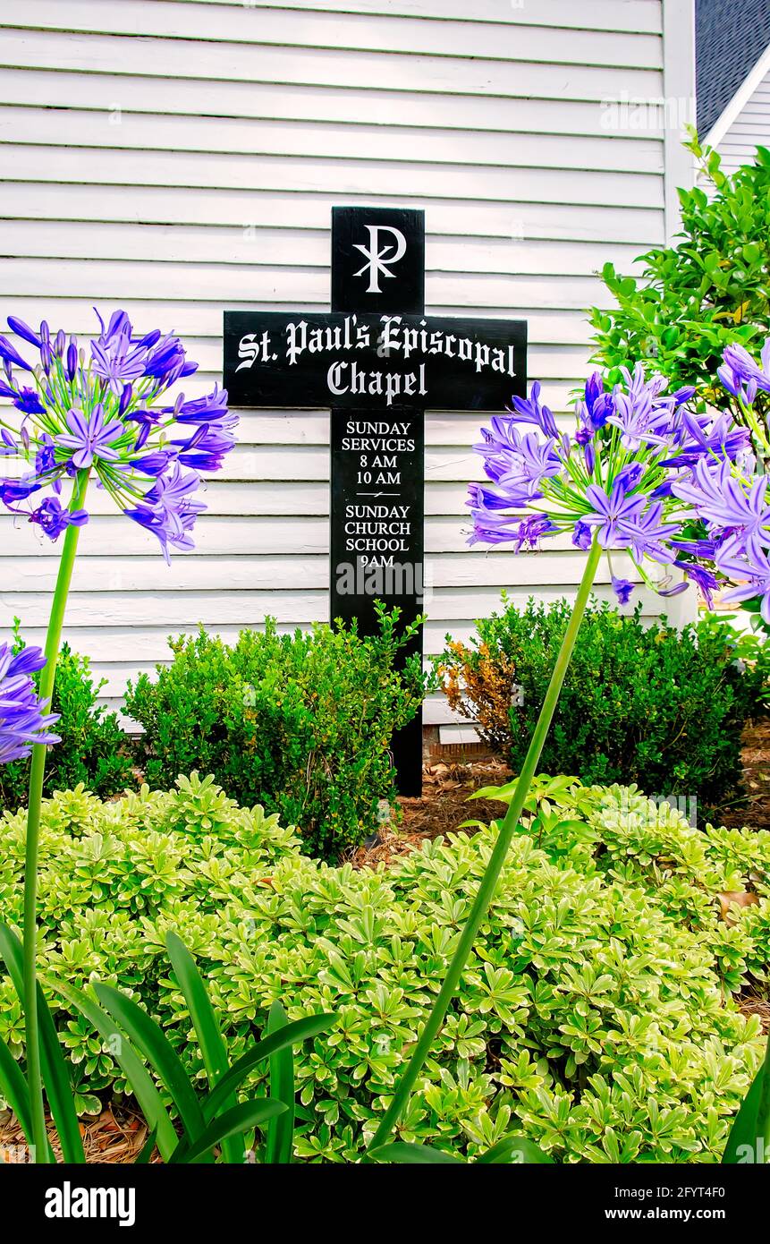 Magnolia cross hi-res stock photography and images - Alamy