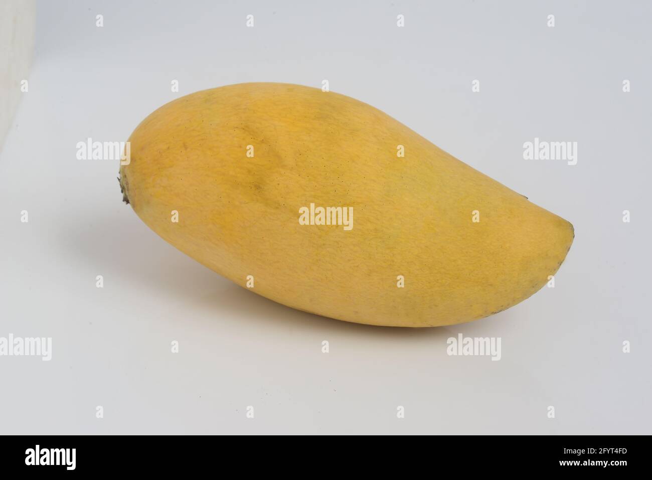 yellow mango on white background Stock Photo - Alamy