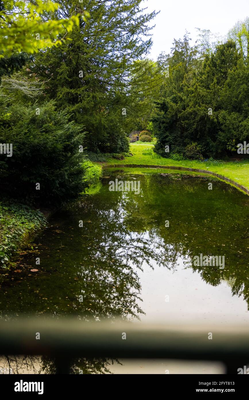 A small peaceful pond surrounded by scenic lush trees Stock Photo - Alamy