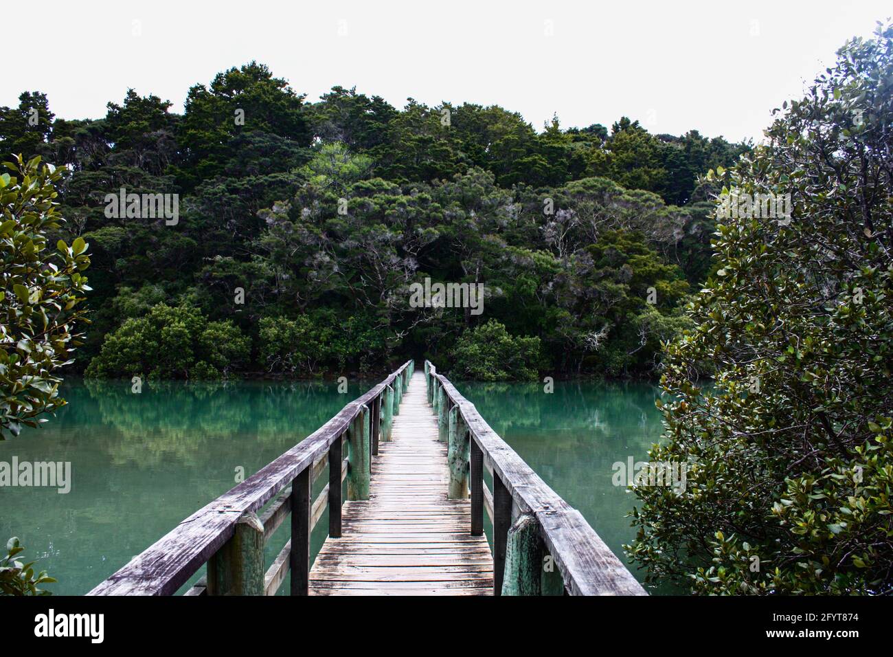 The wooden walkway with railings on lake in forest Stock Photo - Alamy