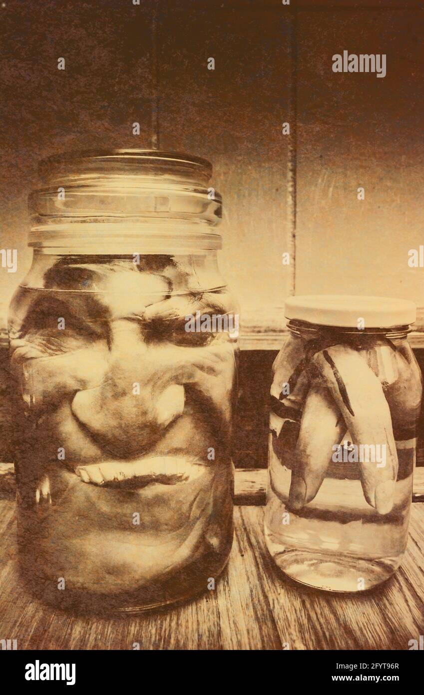 Decapitated Head High Resolution Stock Photography and Images - Alamy