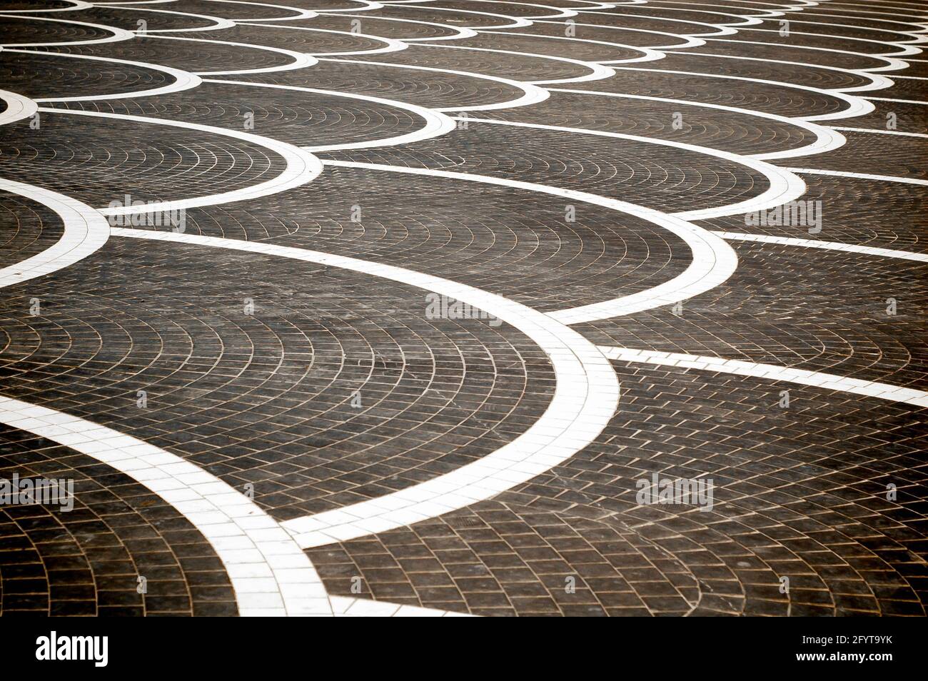 Seamless curved lines pattern hi-res stock photography and images - Alamy