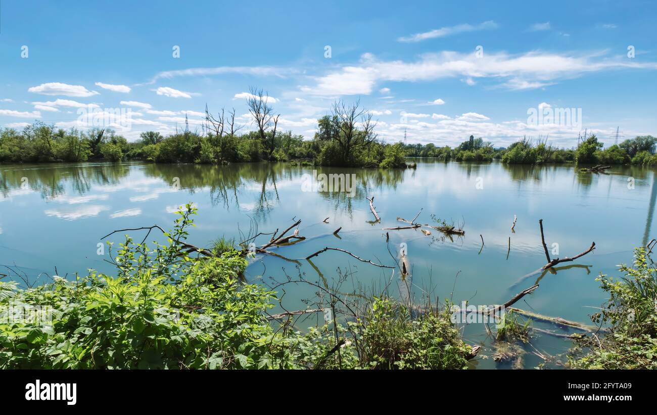 A swamp with the blue clear sky reflecting in the water Stock Photo - Alamy