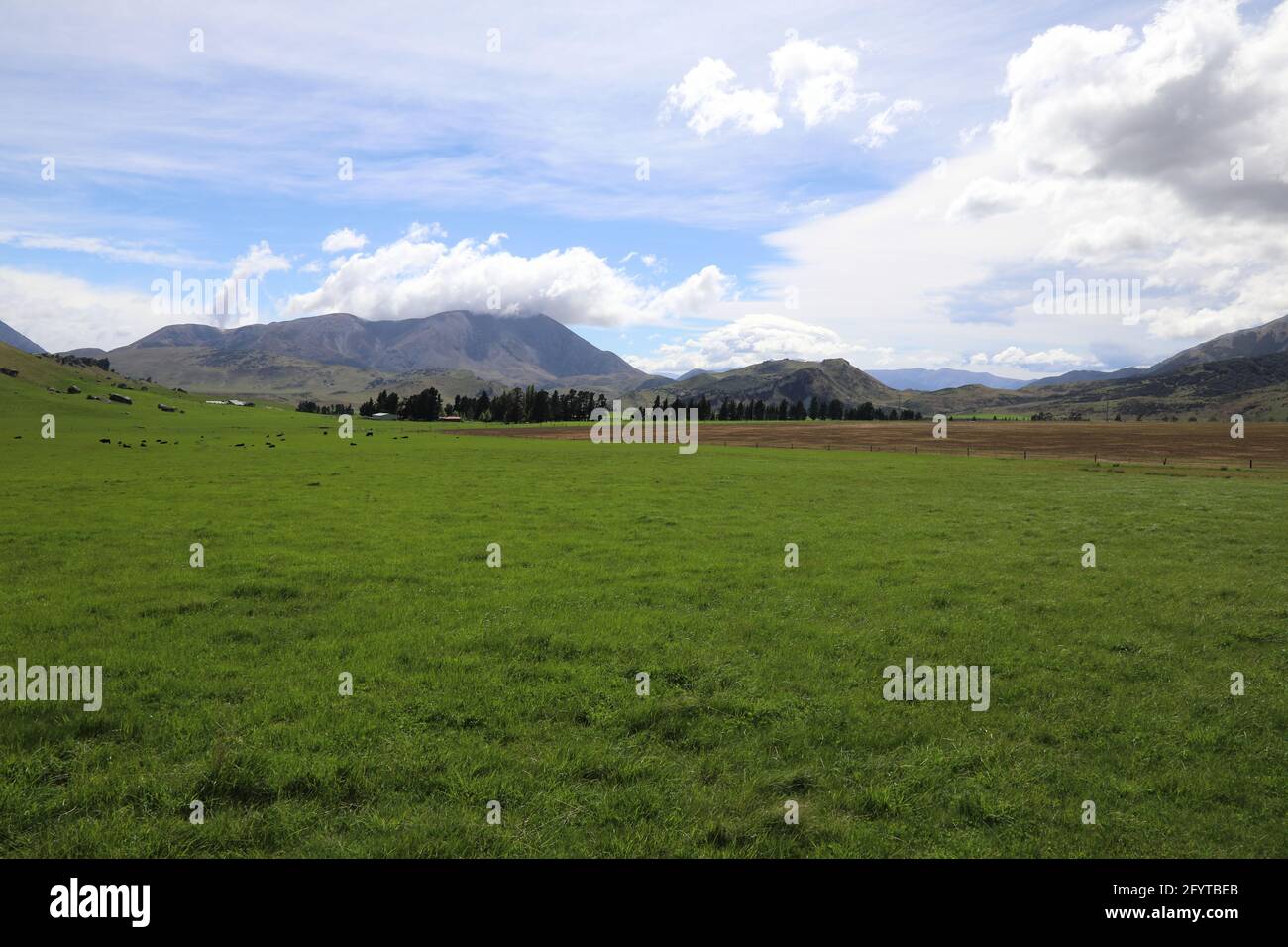 Neuseeland - Landschaft entlang Hwy 73 / New Zealand along Hwy 73 Stock ...