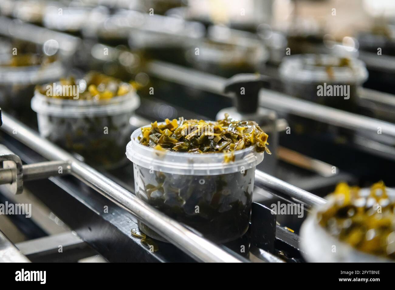 Automatic line for packing seafood. Seaweed is packed in plastic jars ...