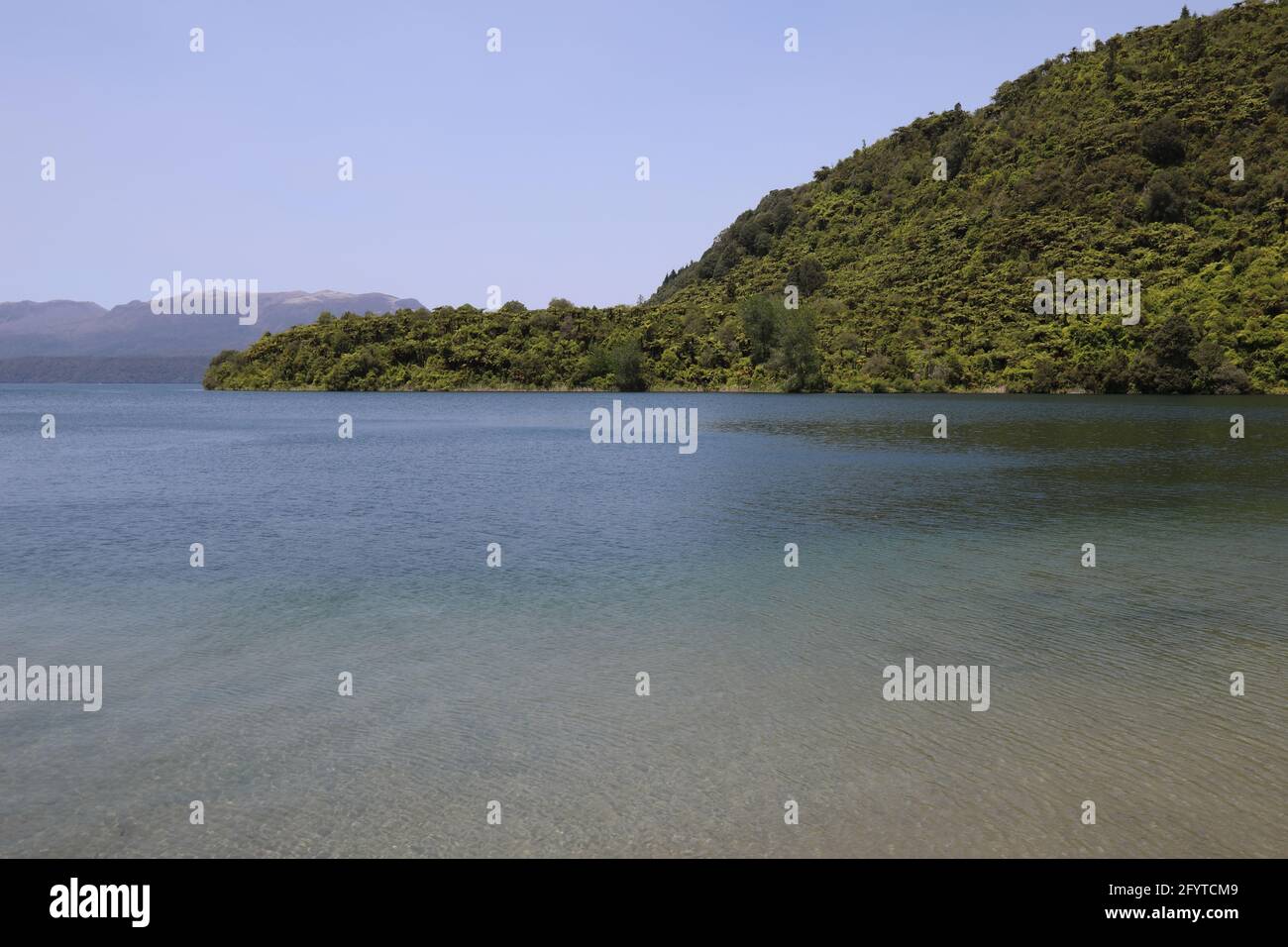 Rotokakahi hi-res stock photography and images - Alamy