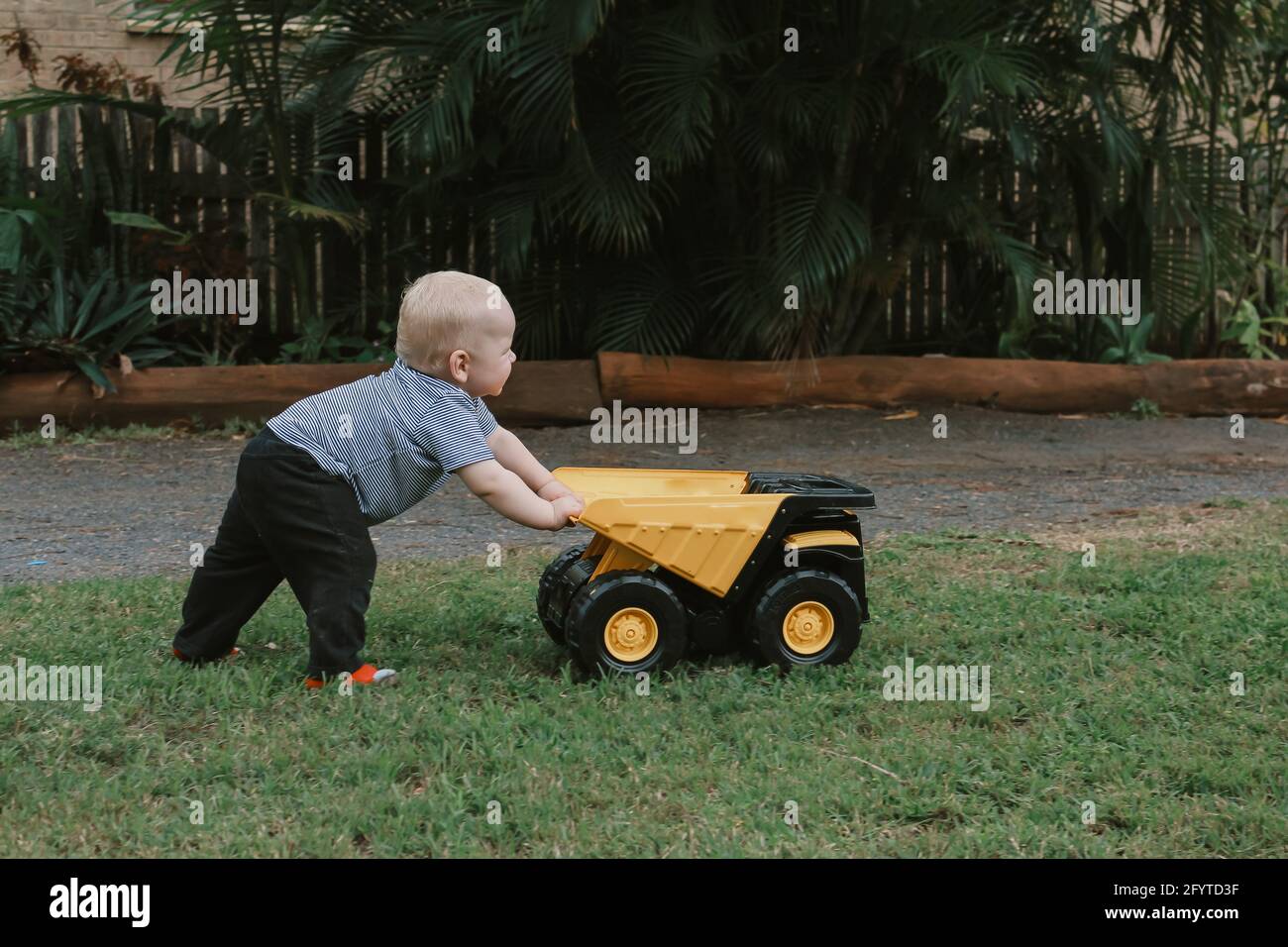A toddler boy pushing a yellow toy truck in the backyard Stock Photo ...