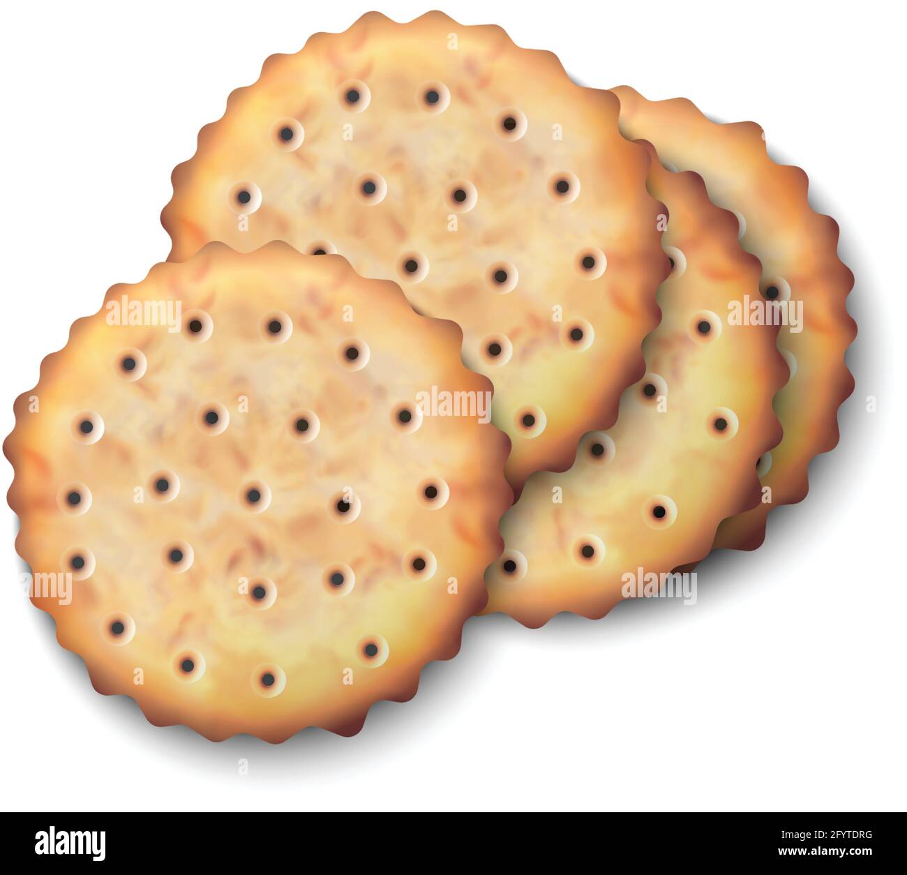 3d realistic vector isolated illustration icon of salted crackers Stock ...