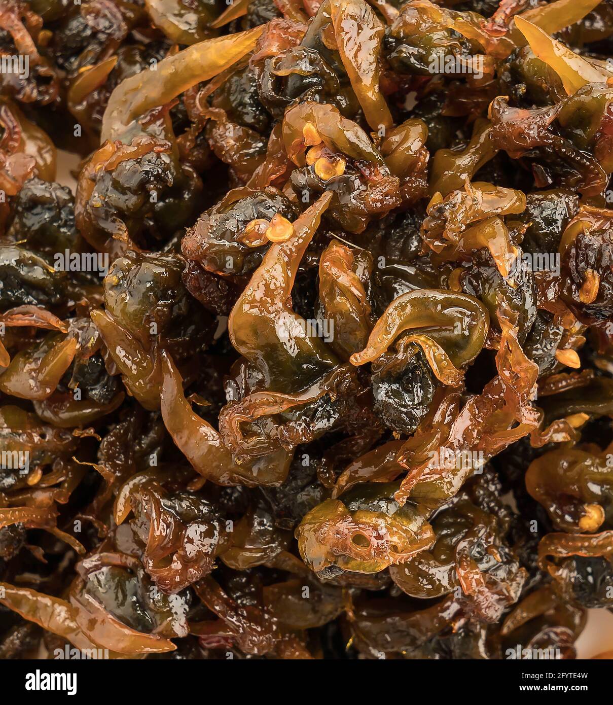 Razor shell white background hi-res stock photography and images - Alamy