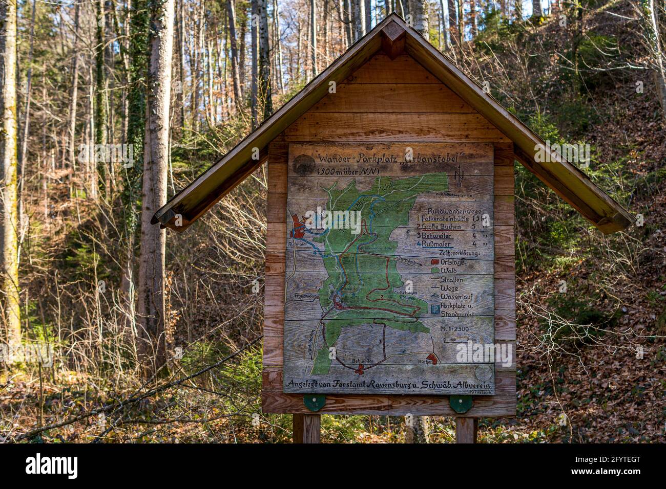 Hiking in spring through a forest in Upper Swabia with fresh blossoms ...
