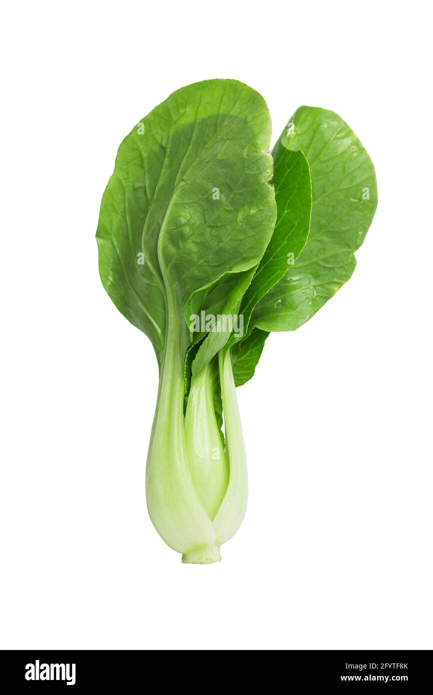 Chinese chefs Cut Out Stock Images & Pictures - Alamy