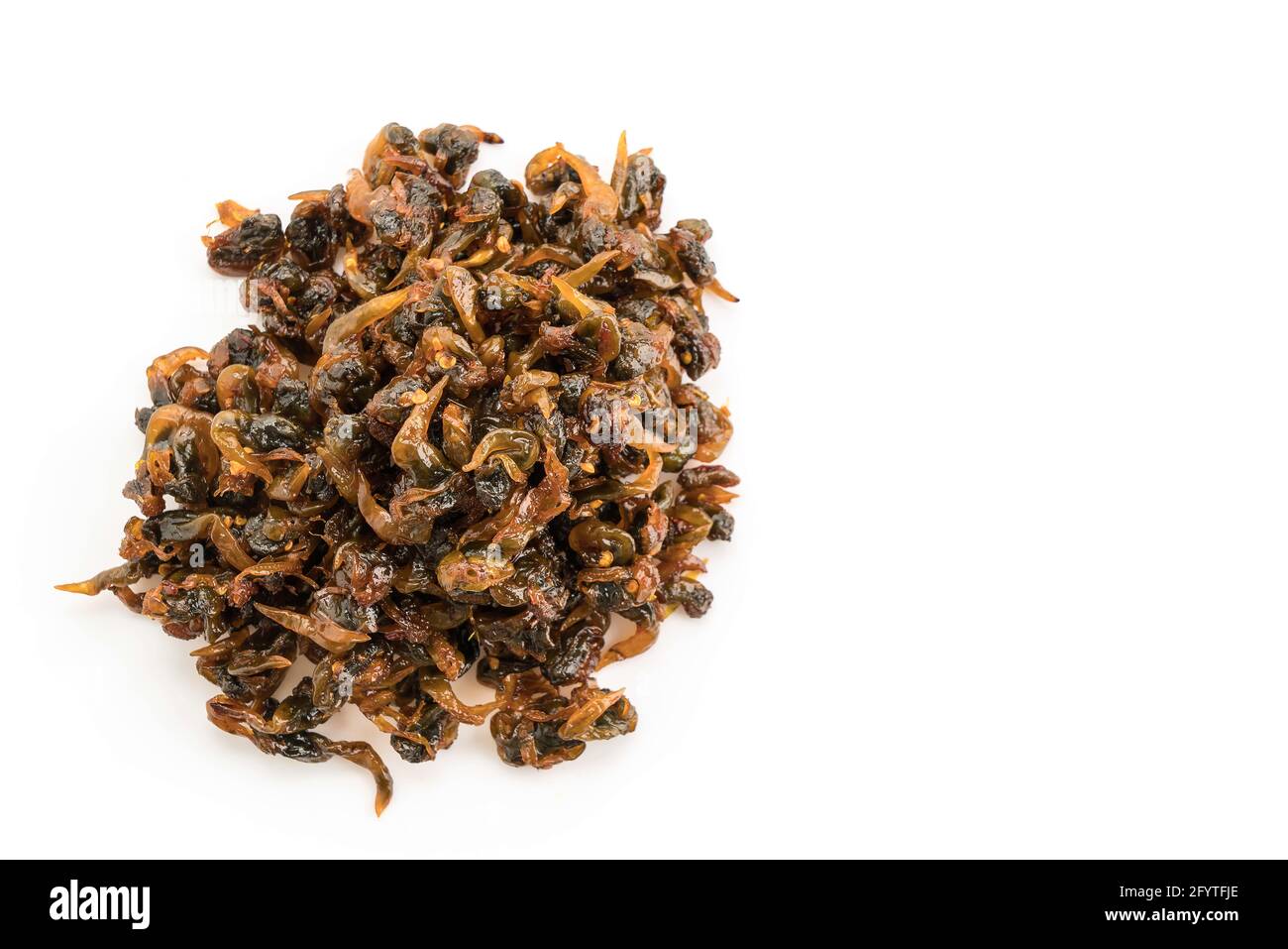 Razor shell razor fish hi-res stock photography and images - Alamy