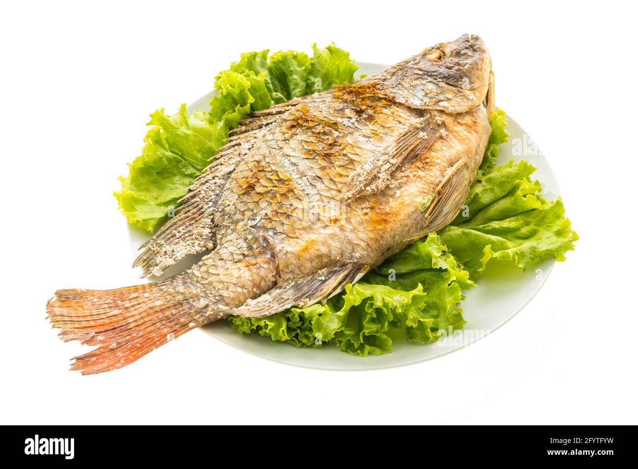 Grilled Fresh fish in white plate isolated on white background Stock ...