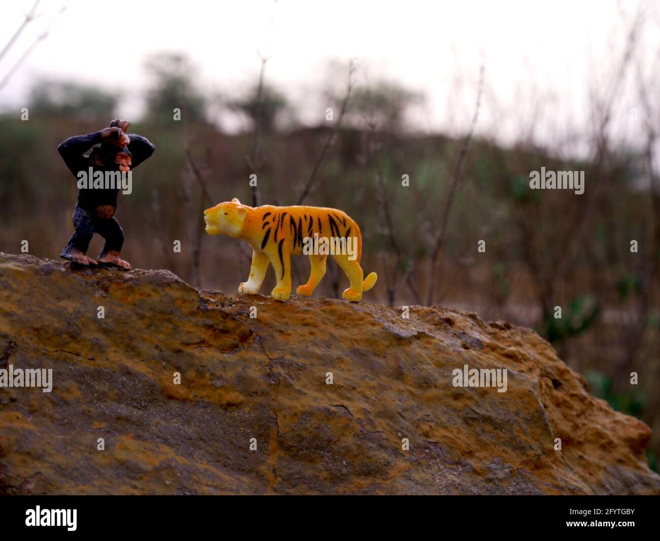 Toy lion and monkey standing together at stone rock around forest ...