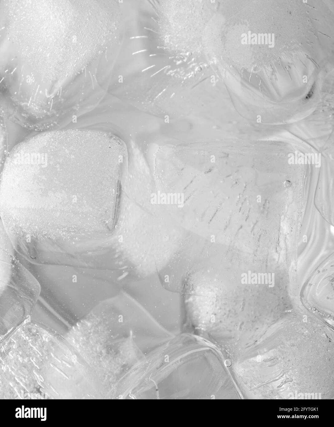 Cool arctic Black and White Stock Photos & Images - Alamy