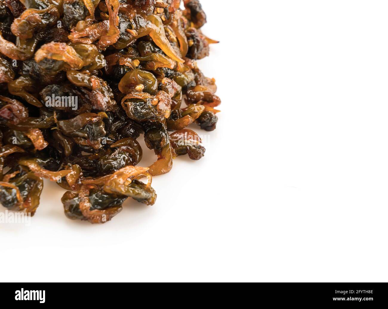 Razor clams isolated hi-res stock photography and images - Alamy