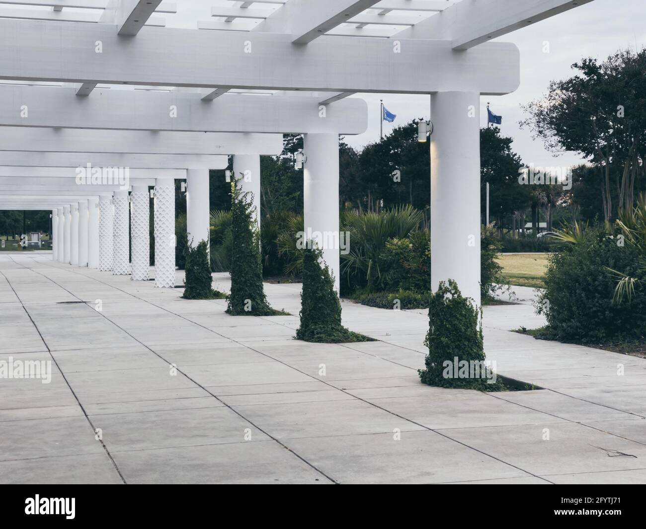 A white building with round columns covered with small green leaves of ...