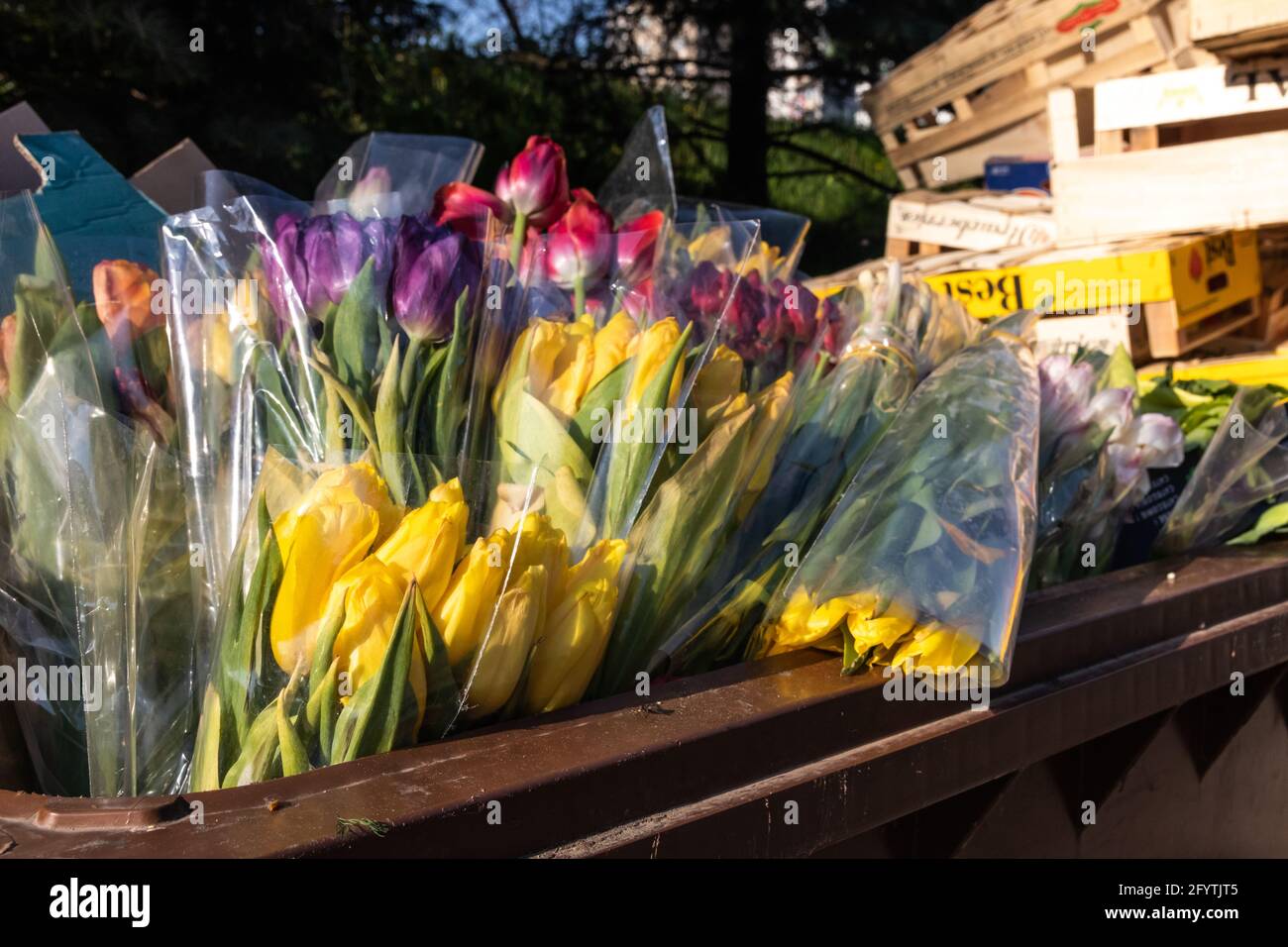 Bouquet flowers in trash hi-res stock photography and images - Alamy