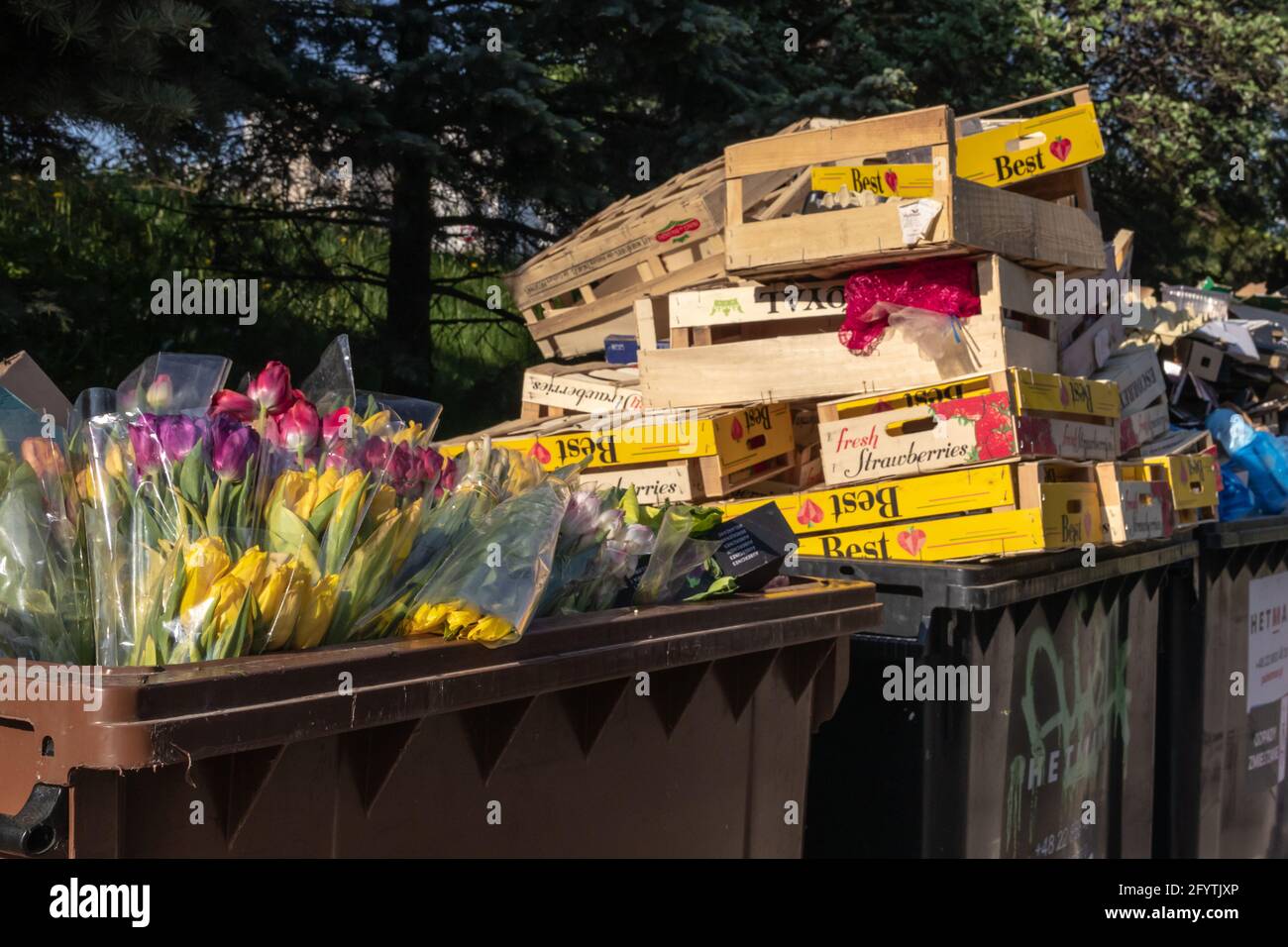 Bouquet flowers in trash hi-res stock photography and images - Alamy