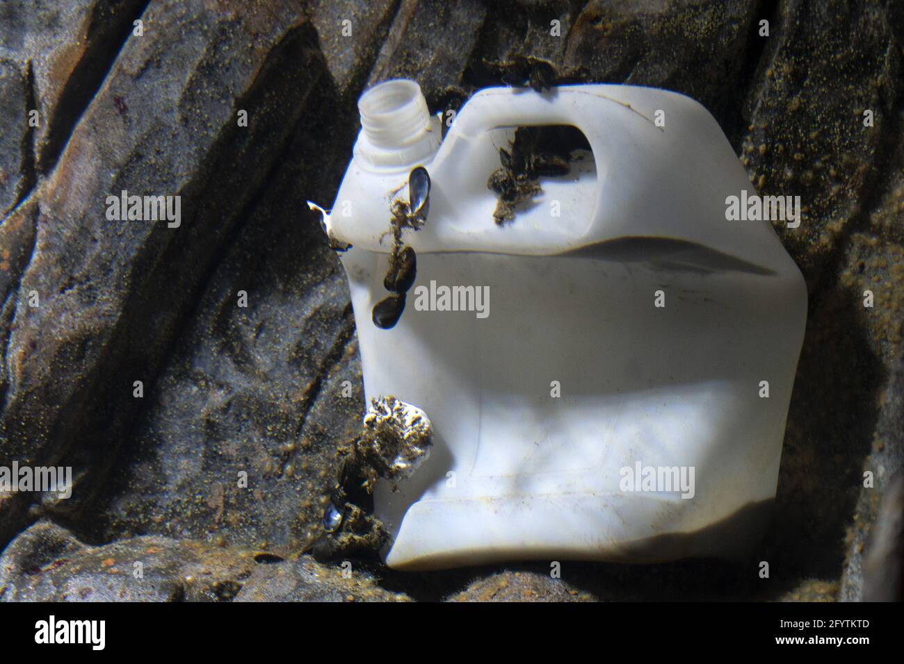 Plastic garbage tank waste underwater Stock Photo - Alamy