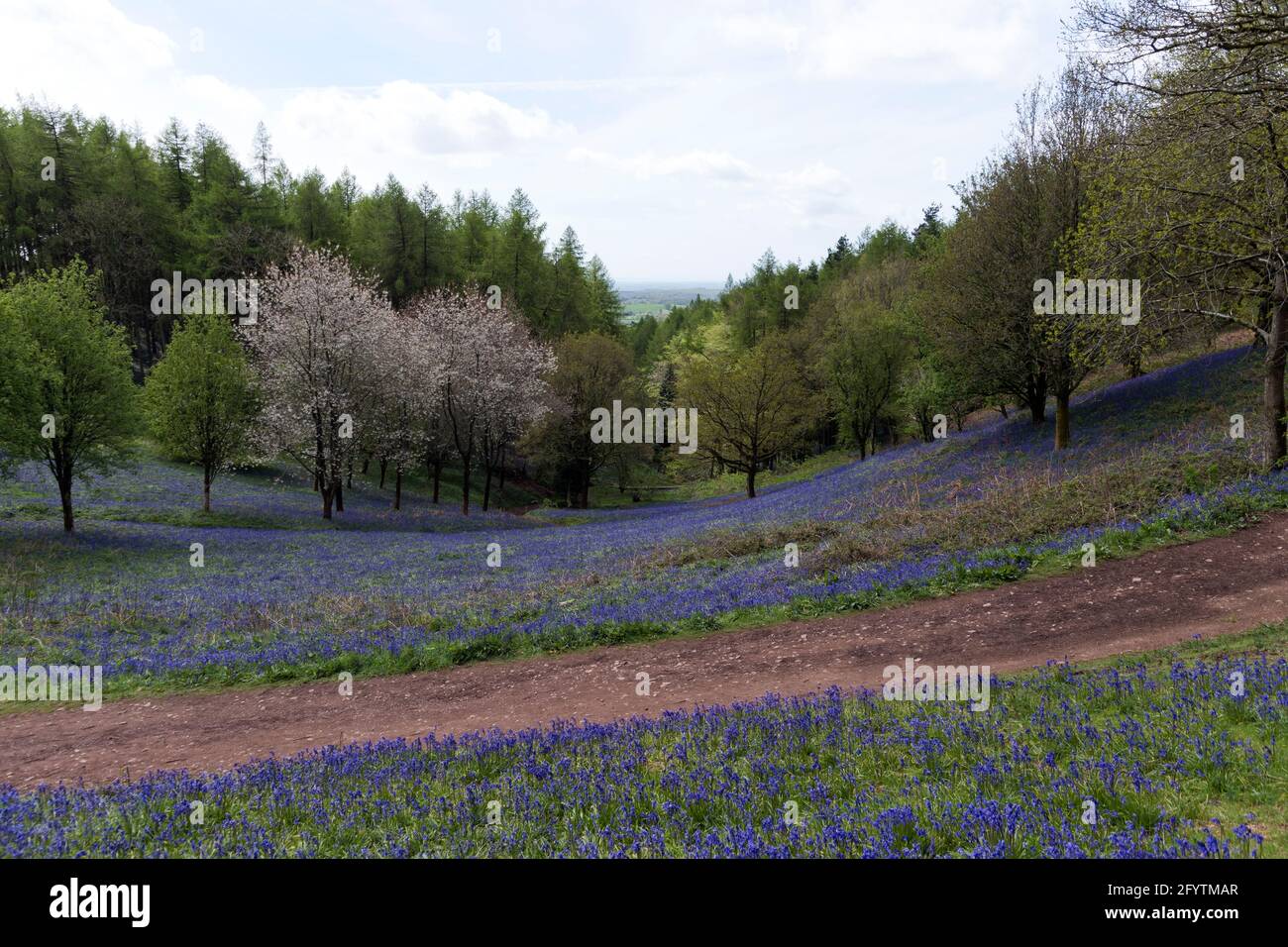 Clent hills worcestershire hi-res stock photography and images - Alamy