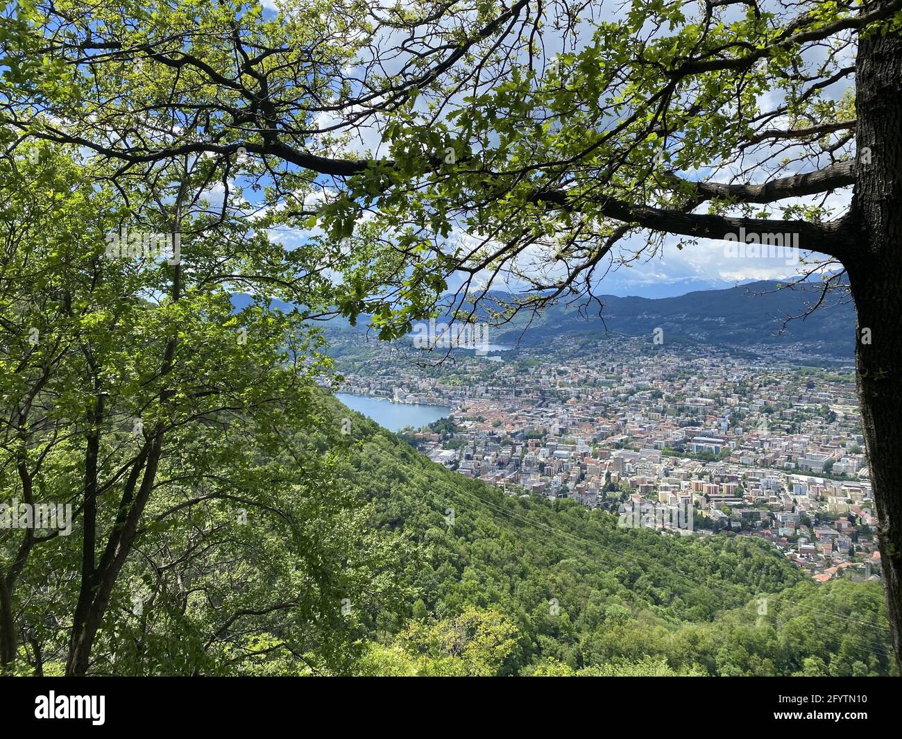 A beautiful view of a city skyline and mountains visible from a forest ...