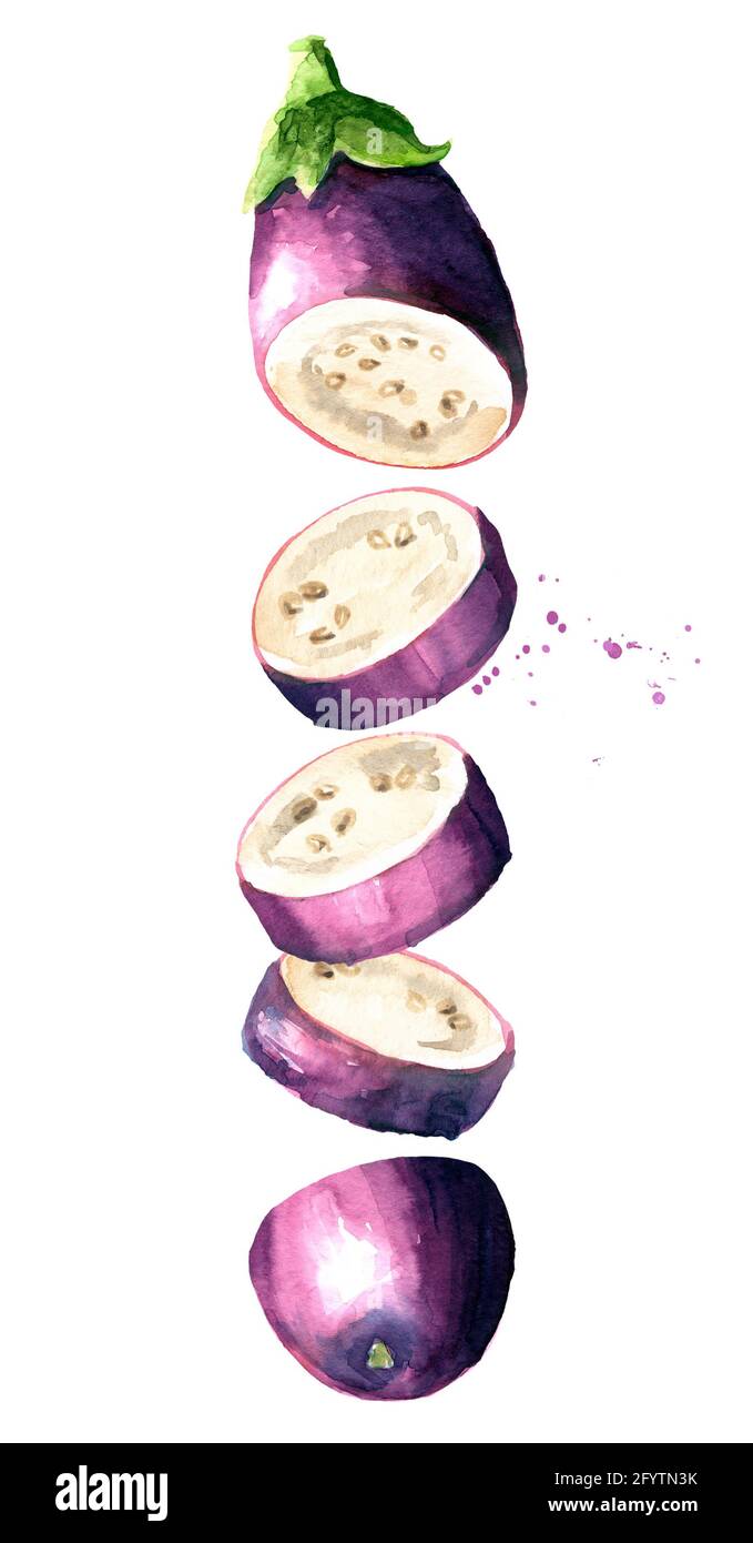 Falling ripe cut Eggplant. Hand drawn watercolor illustration isolated ...