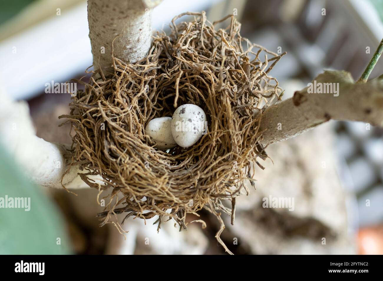 Diy planter rack hi-res stock photography and images - Alamy