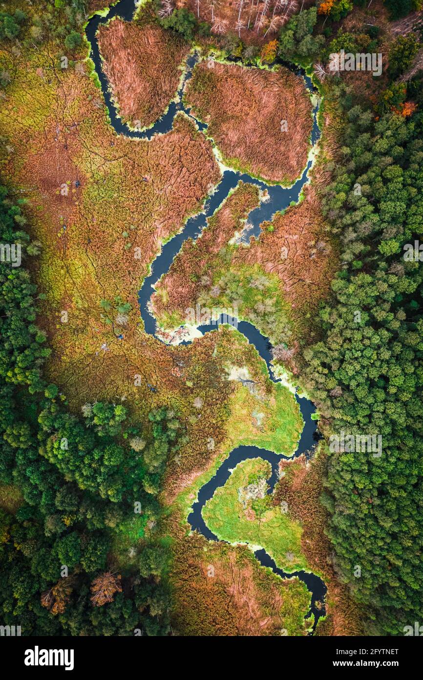 River and marshland in autumn. Aerial view of wildlife in Poland ...