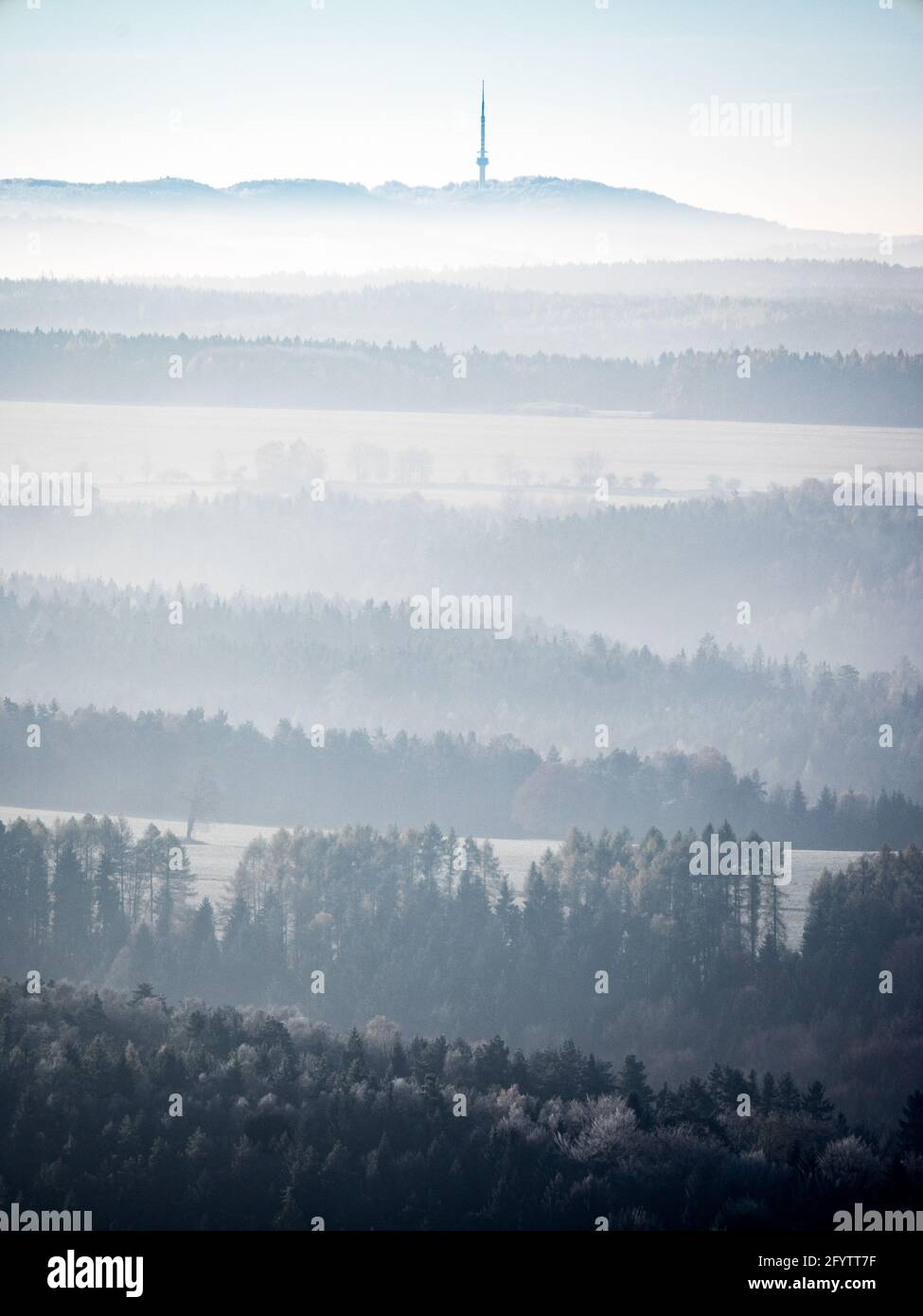 Autumn tree tops in the fog. Autumn sad with colorful trees. Fall ...
