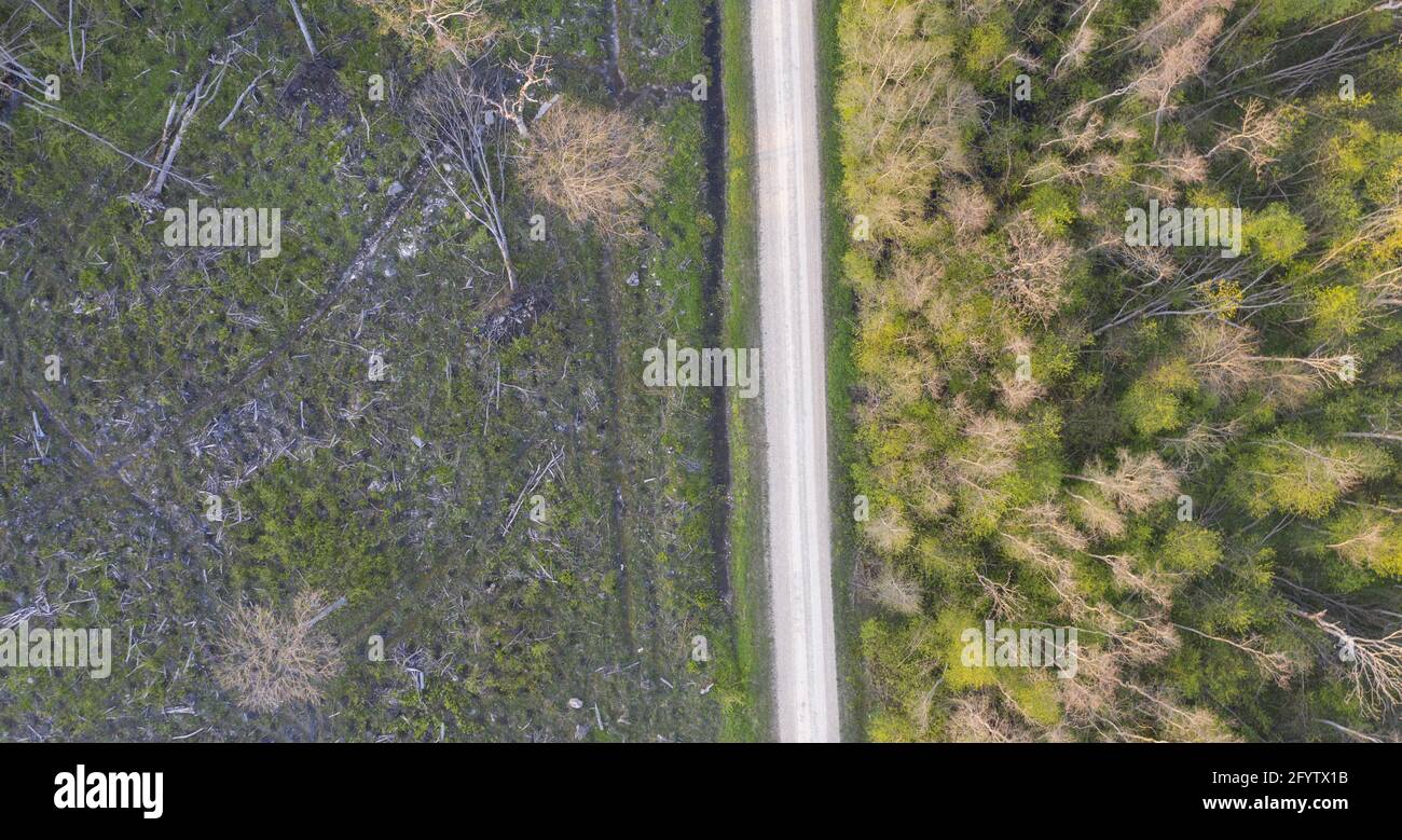 An aerial view of a landscape with a lot of trees and greenery Stock ...