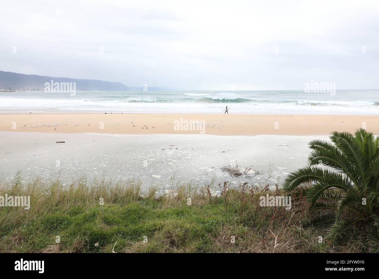 Bellambi hi-res stock photography and images - Alamy