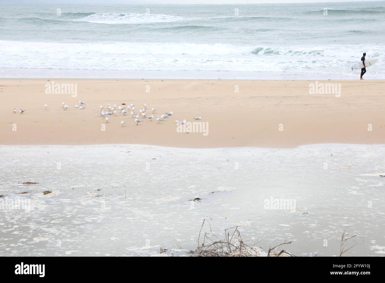 Bellambi hi-res stock photography and images - Alamy