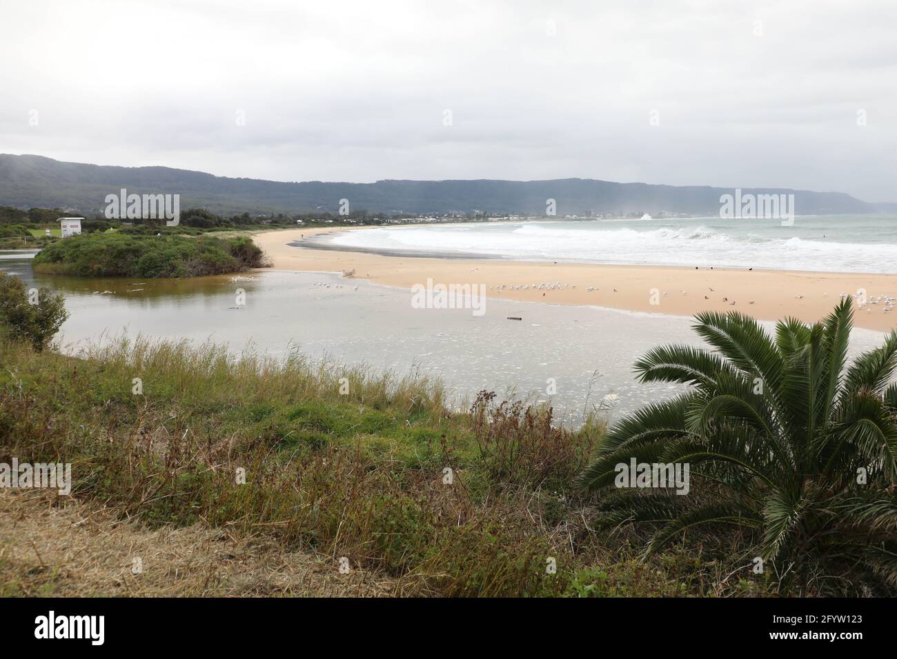 Bellambi beach hi-res stock photography and images - Alamy