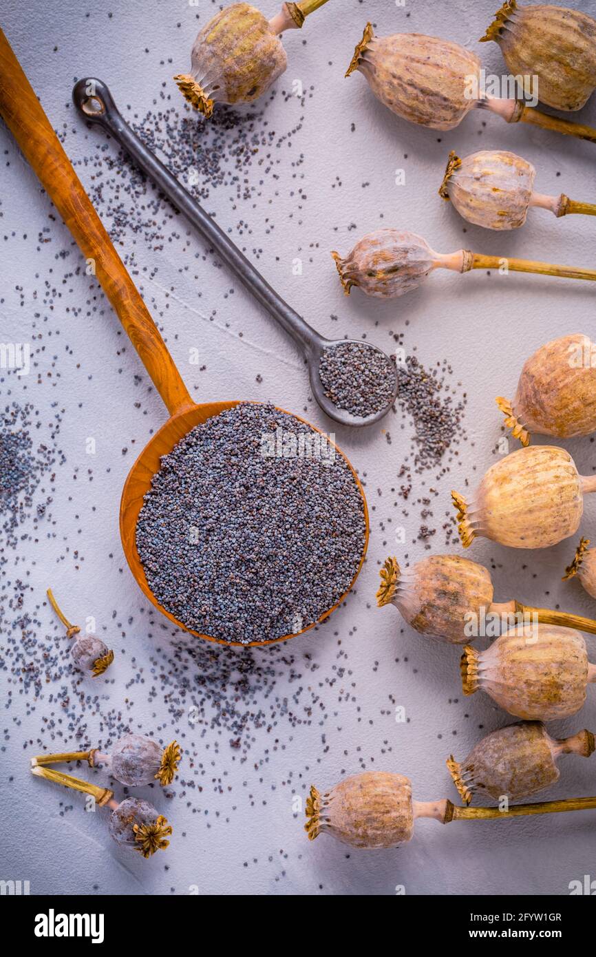 Bunch of poppy heads and bowl with seeds on kitchen table Stock Photo ...