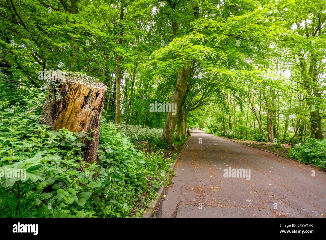 Paths wide hi-res stock photography and images - Alamy