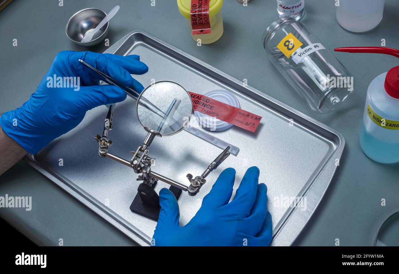 Forensic police take razor blade from victim in crime lab for analysis ...