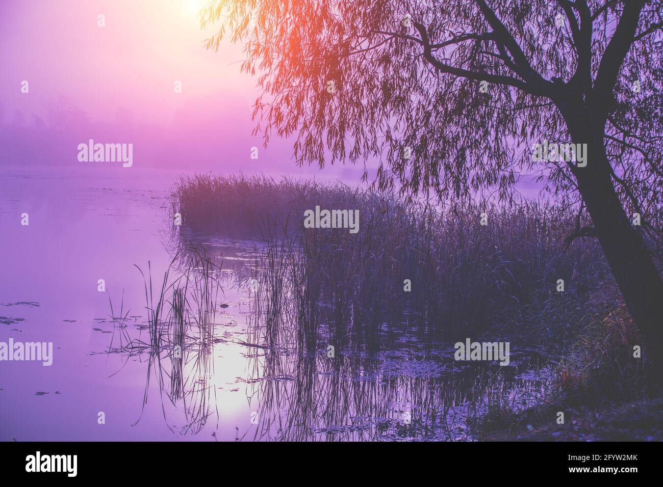 Magic sunrise over the lake. Misty early morning. Rural landscape ...