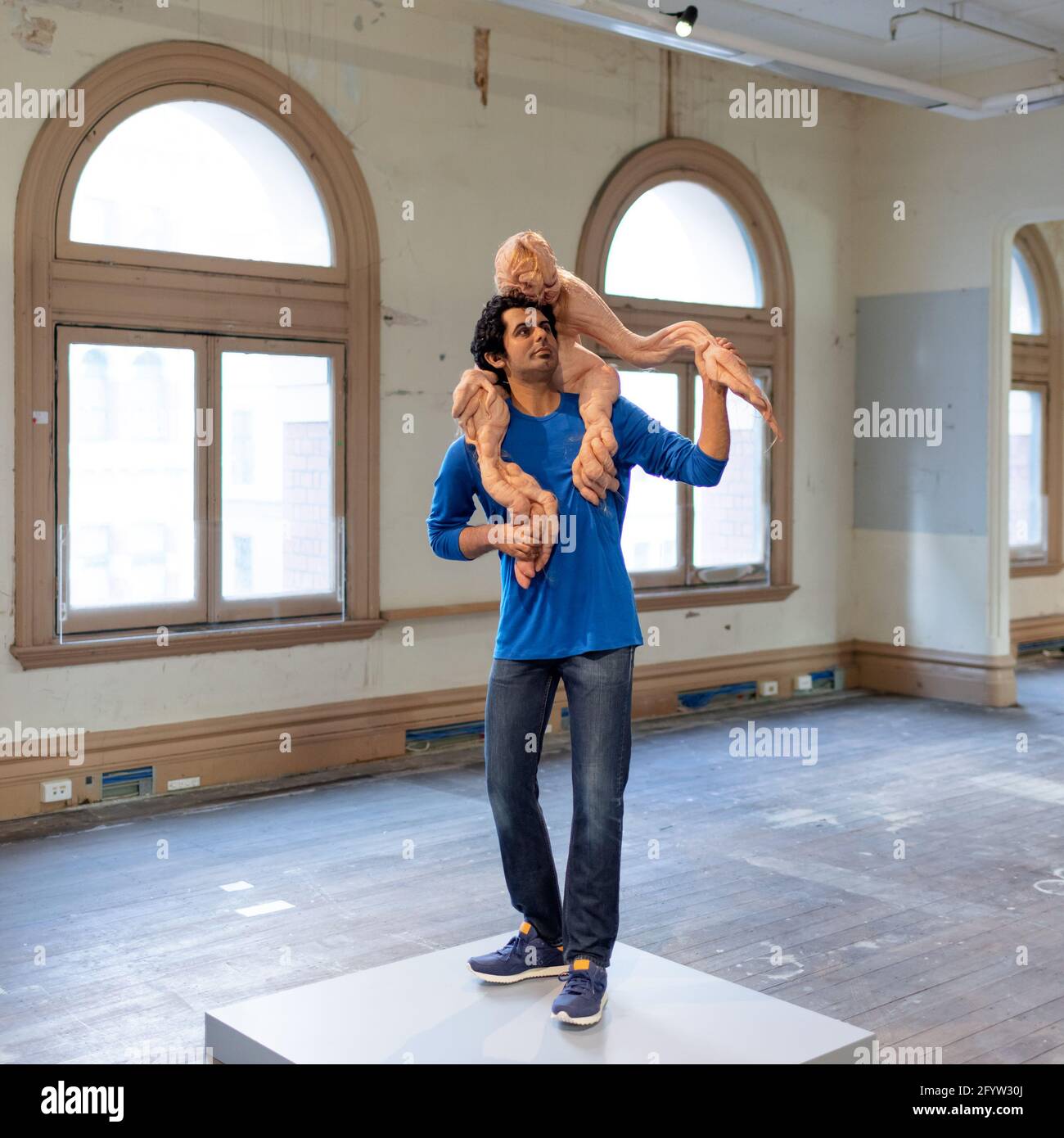 Piccinini patricia hi-res stock photography and images - Alamy